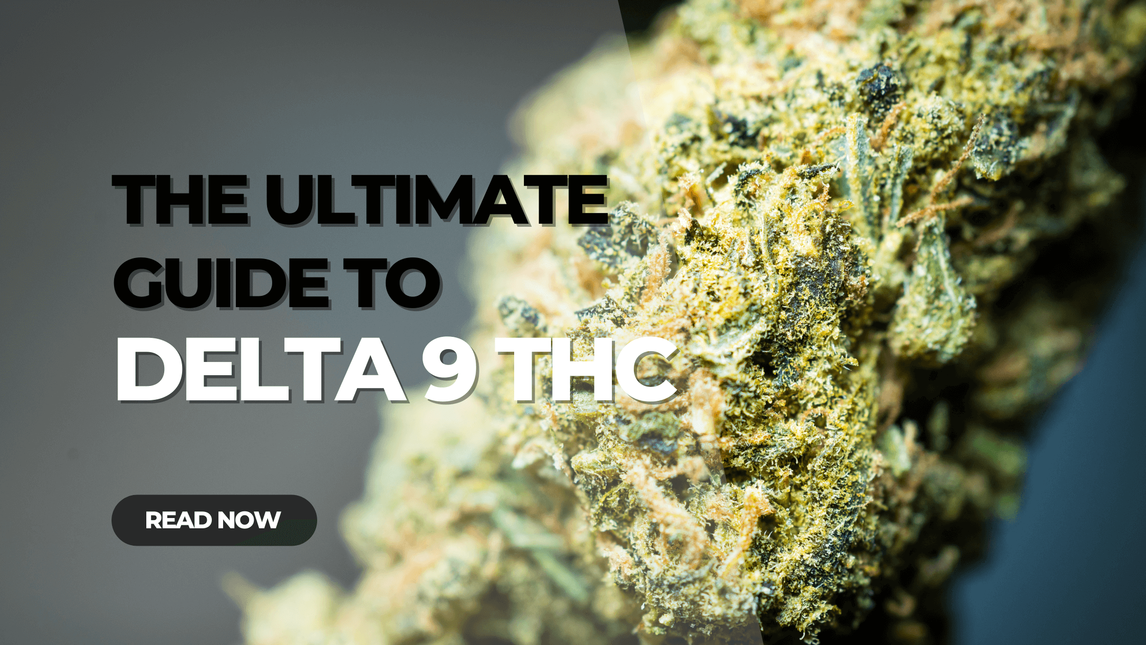 What is Delta 9 THC? Ultimate Guide to Hemp Delta 9