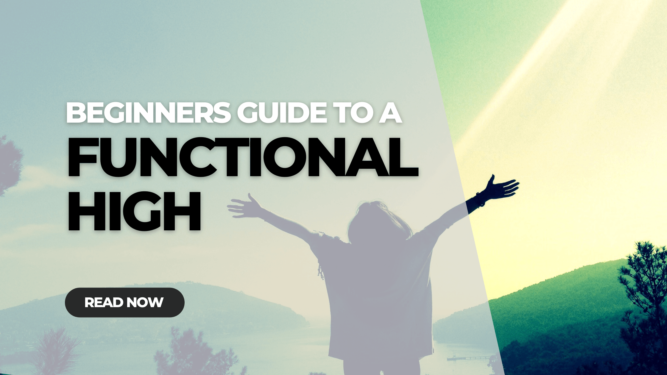 Delta 8, Complete Guide to a Functional High