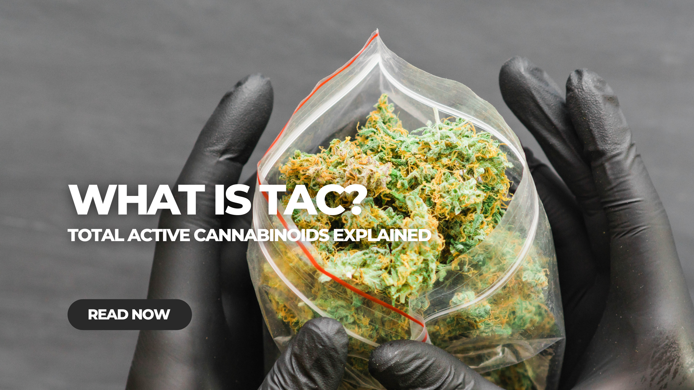 What Is TAC? Guide to Total Active Cannabinoids