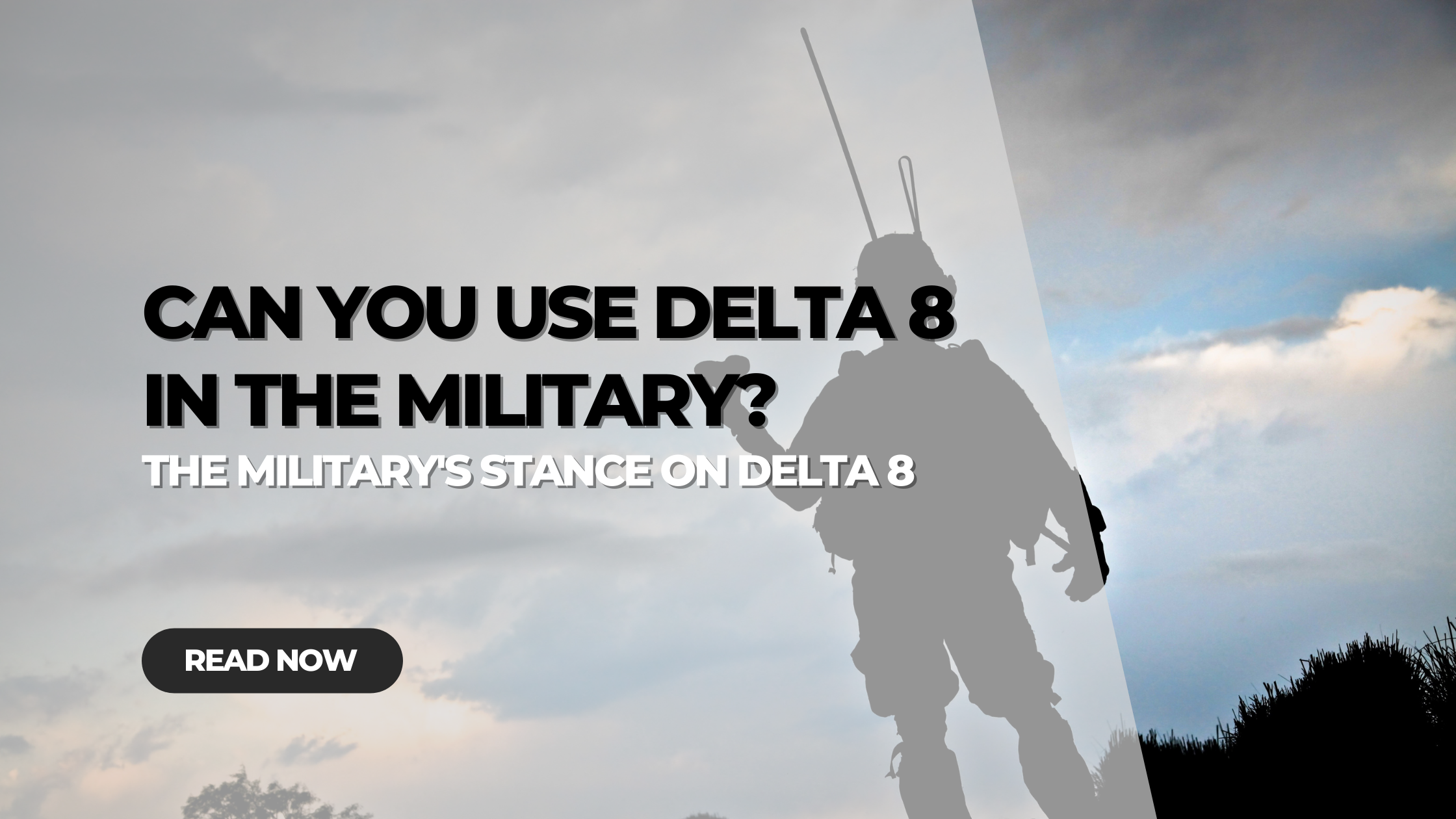 Can You Use Delta 8 in The Military?