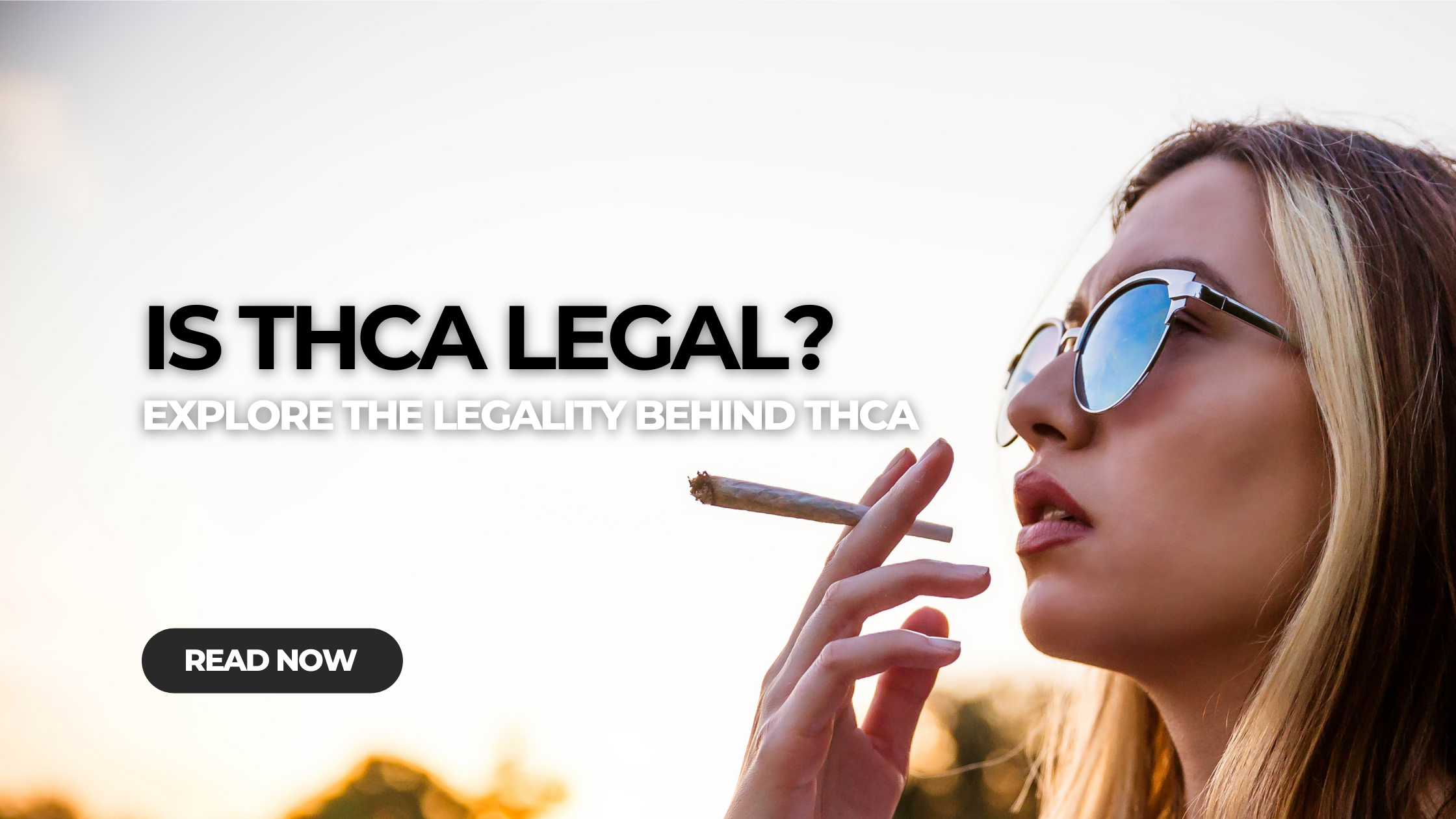 Is THCA Legal? Exploring the Legality Behind THCA